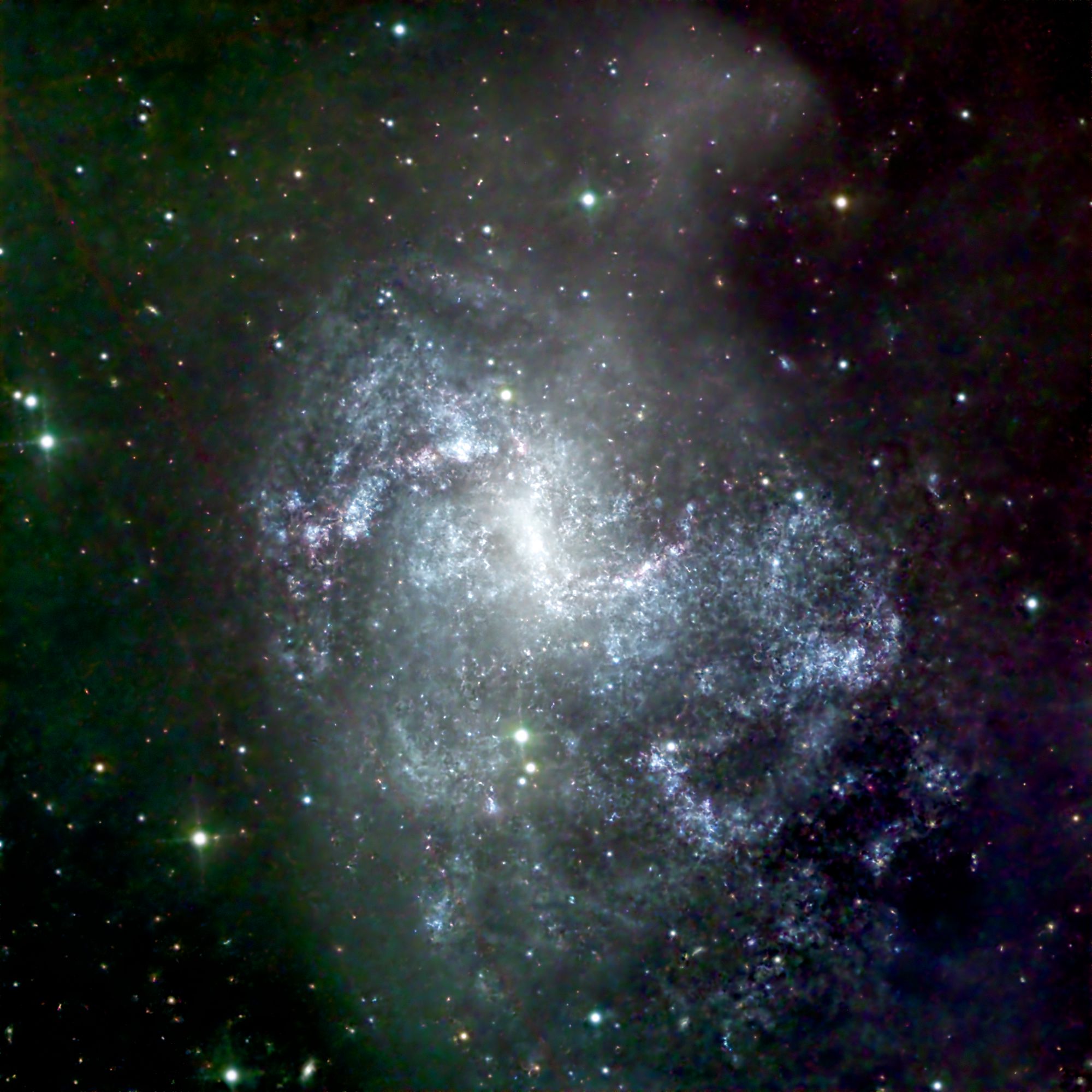 NGC1313 | Telescope Live